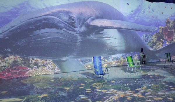 "Oceano Vivo": Espetáculo imersivo chega ao RioMar Recife - Blog do Andros